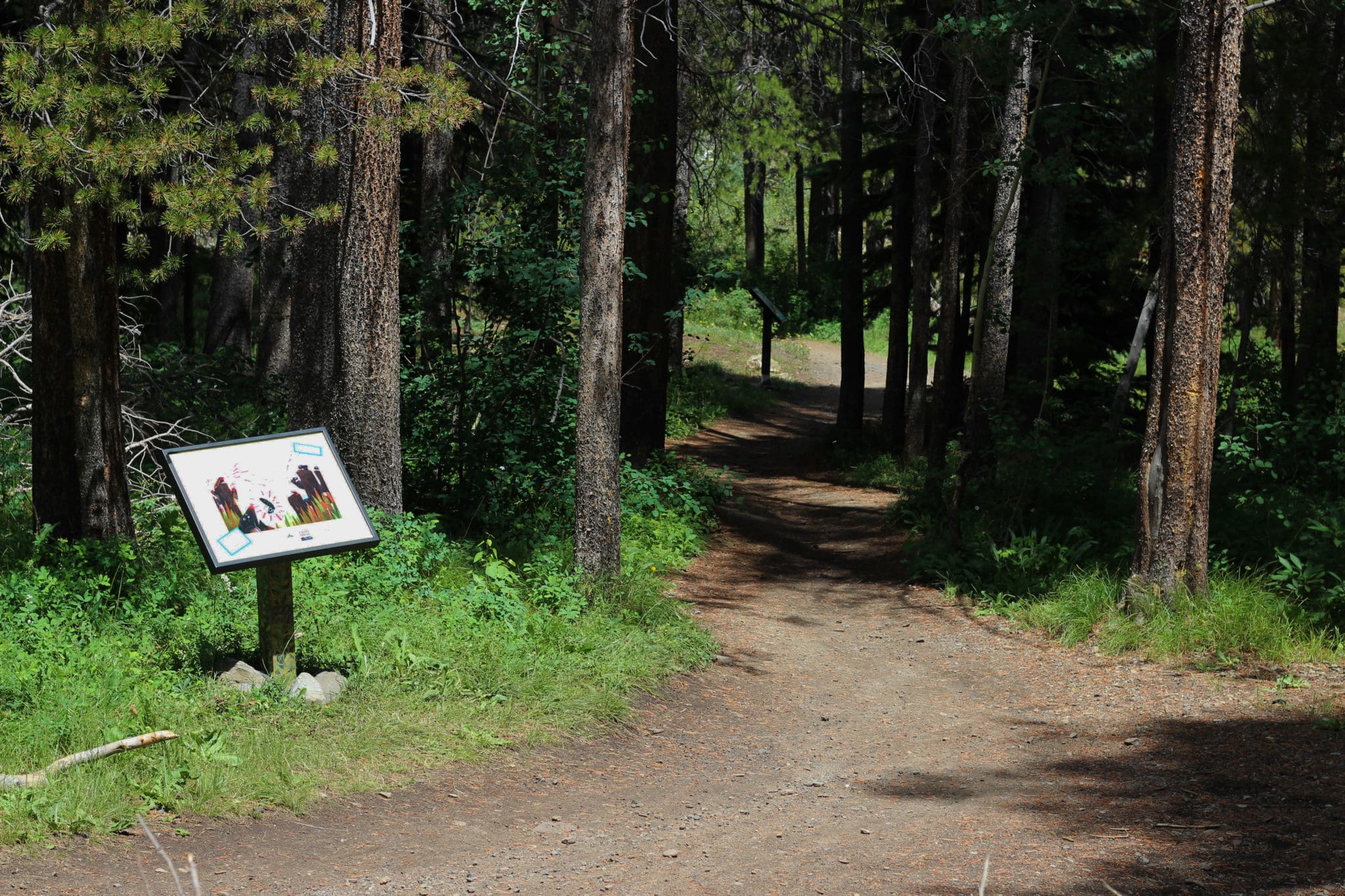 StoryWalk®, a Children’s Book in The Woods and Much More - Center for ...